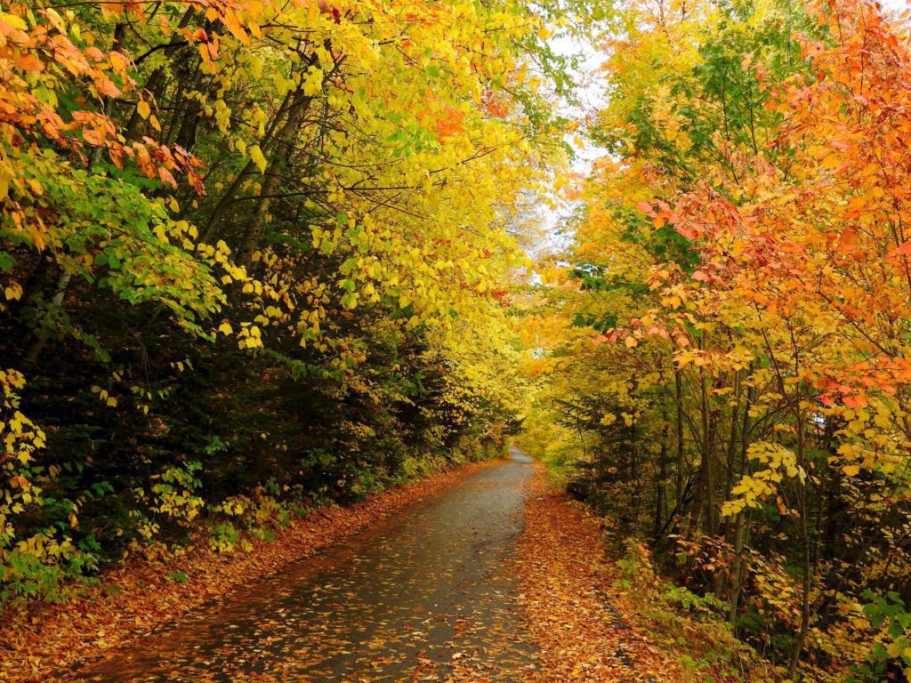 What is a Yooper? - Sault Ste Marie CVB