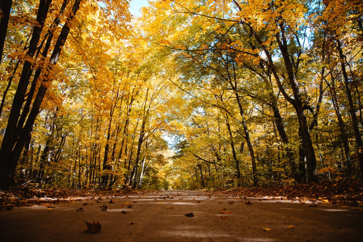 Fall Color Upper Peninsula of Michigan