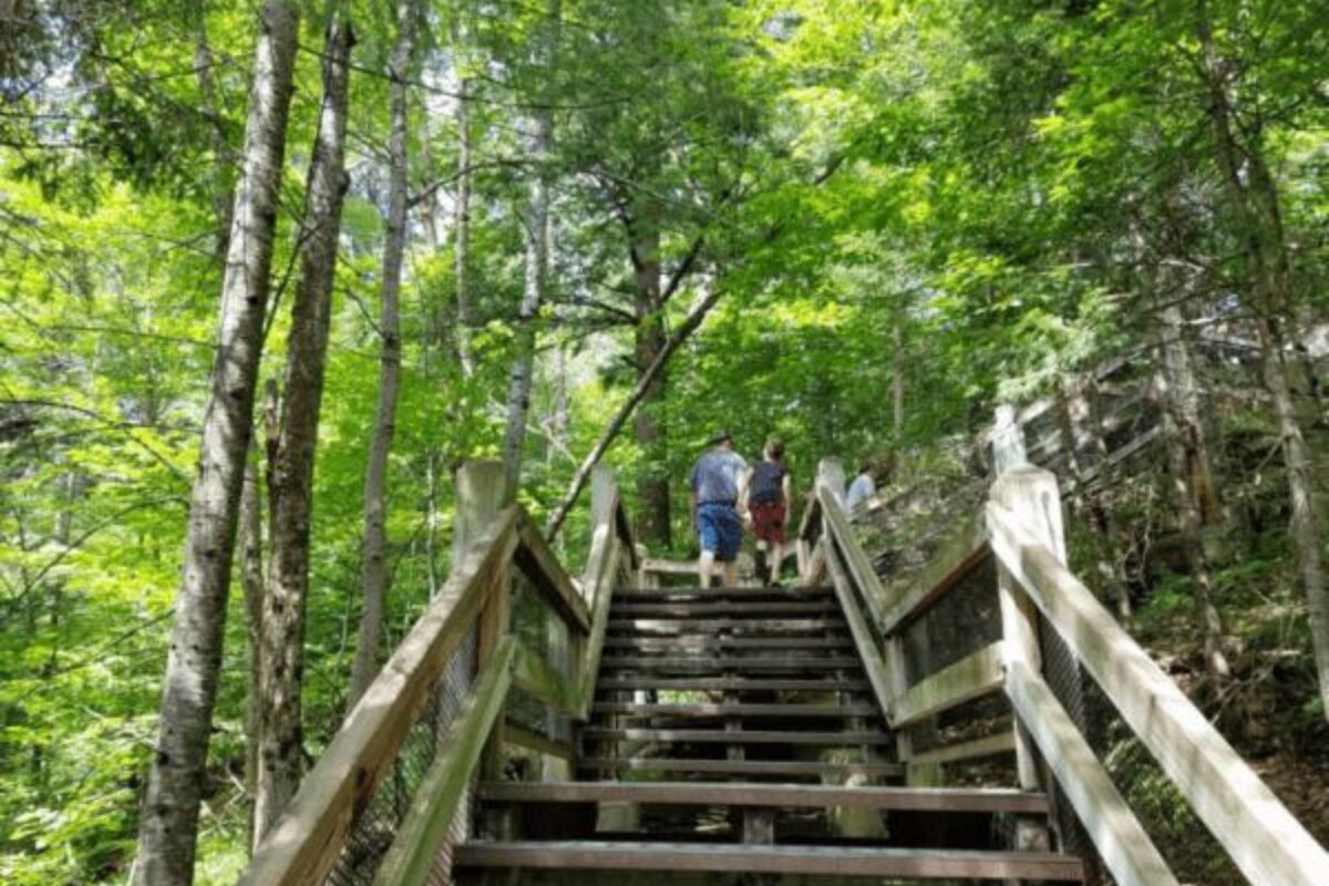 Tahquamenon Falls Facts and Information